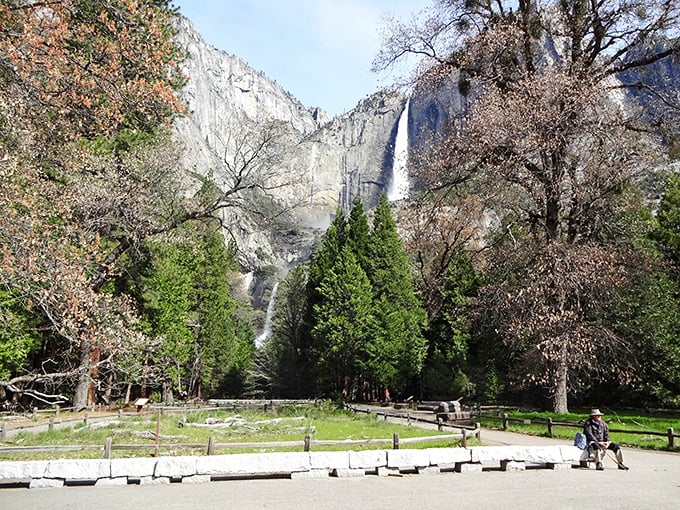 Framed by spring foliage, Yosemite Falls stands tall in the distance—like that impressive friend who doesn't need to show off.