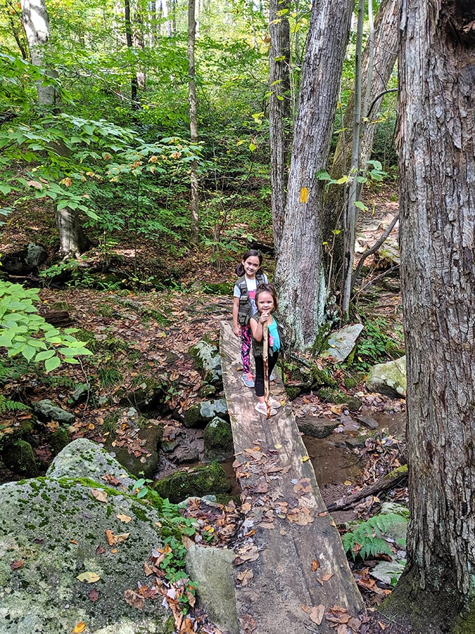 Little explorers discovering big adventures on a woodland bridge – childhood memories being crafted one careful step at a time.