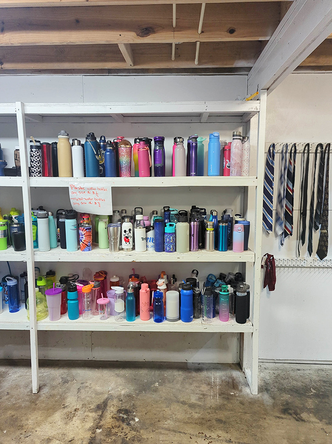 An entire rainbow of water bottles awaits—because apparently everyone's upgrading their hydration game at thrift store prices.