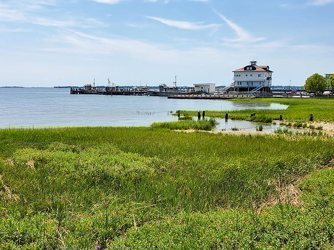 Waterfront Park's marshland views remind you that Charleston is a city embraced by nature, where land and water perform their eternal dance.