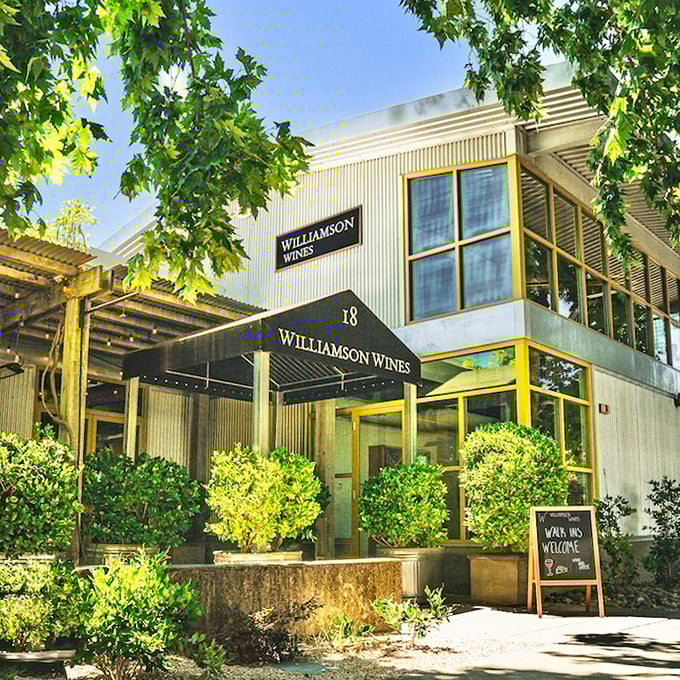 Williamson Wines' modern industrial charm says, "We're serious about wine but not about ourselves." The perfect California balance.