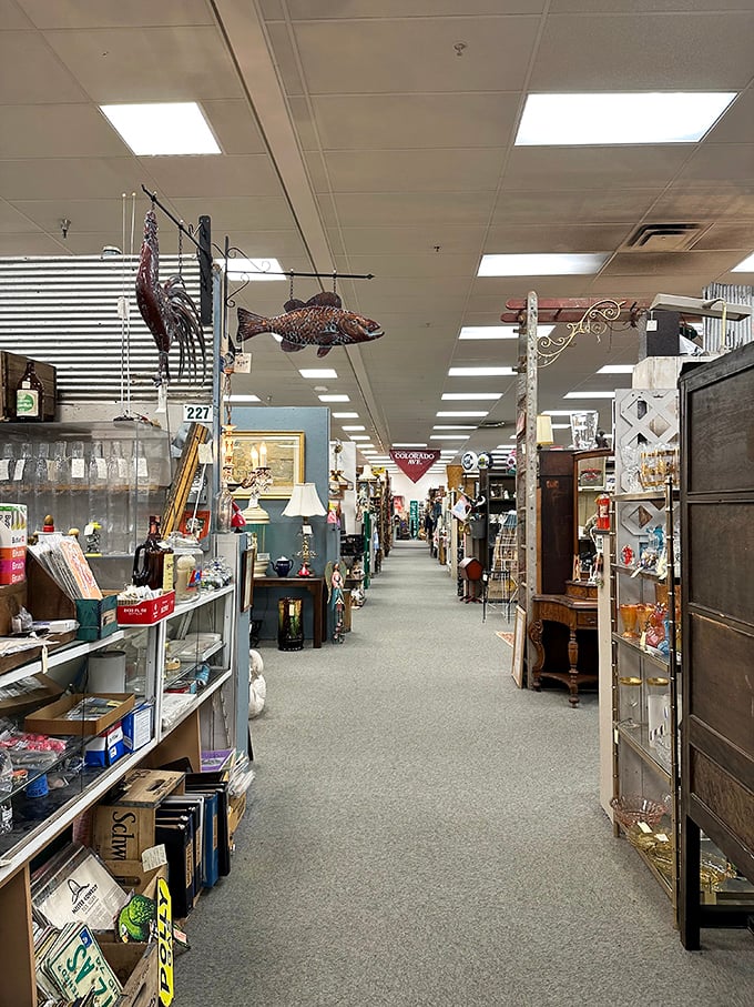 Look up and you'll spot that metal fish swimming through time! These aisles are highways to the past, with treasures lurking around every corner.