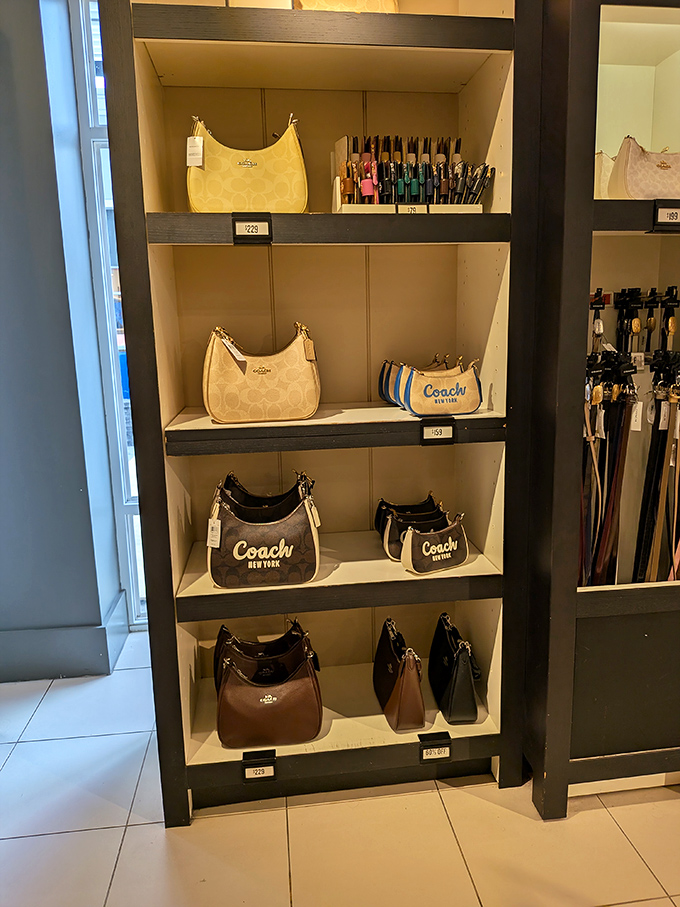 Coach bags displayed like museum pieces—proof that outlet shopping has graduated from "seconds and irregulars" to legitimate luxury at prices that won't require a second mortgage.