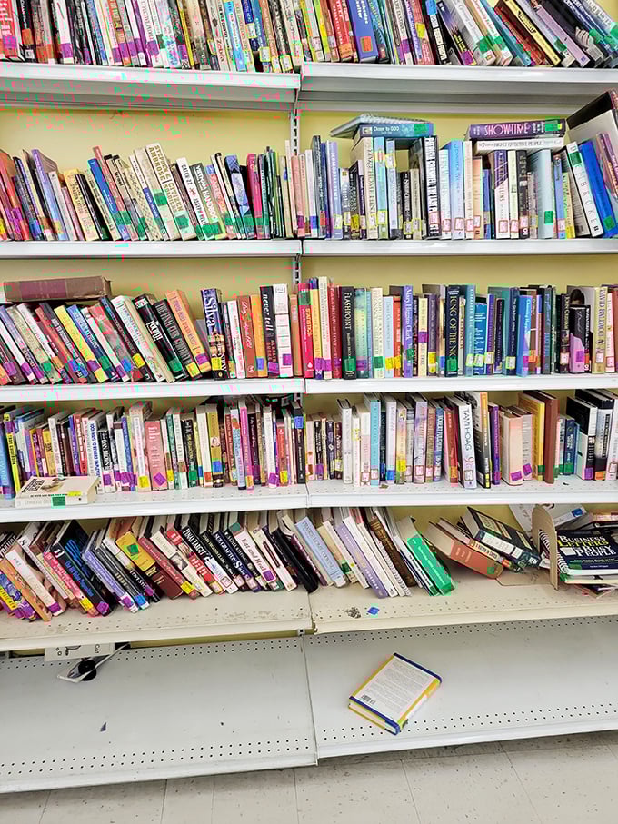 Books stacked with colorful spines—literary treasures at fingertip prices. Someone's abandoned self-help journey becomes your next beach read.