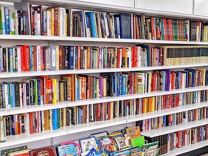 The library section could keep a bookworm fed for decades—spines of every color telling stories that deserve second readings.