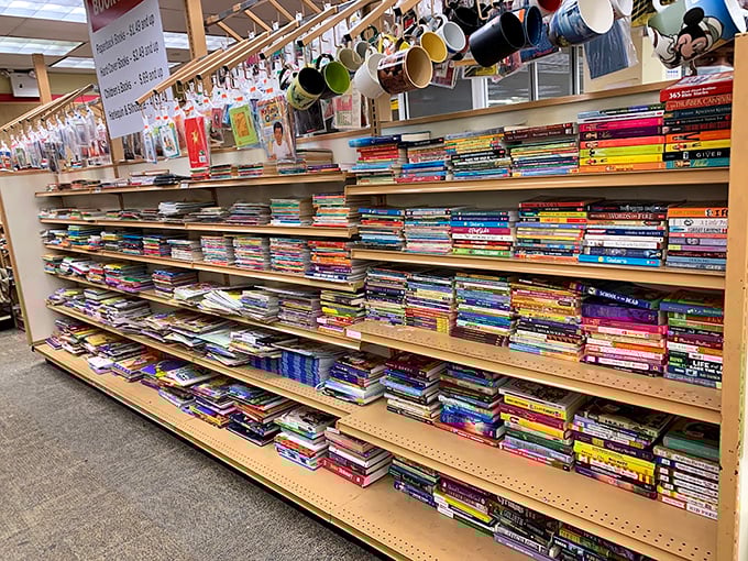 Literary paradise where dog-eared paperbacks and pristine hardcovers create a library where every book costs less than shipping from an online retailer.