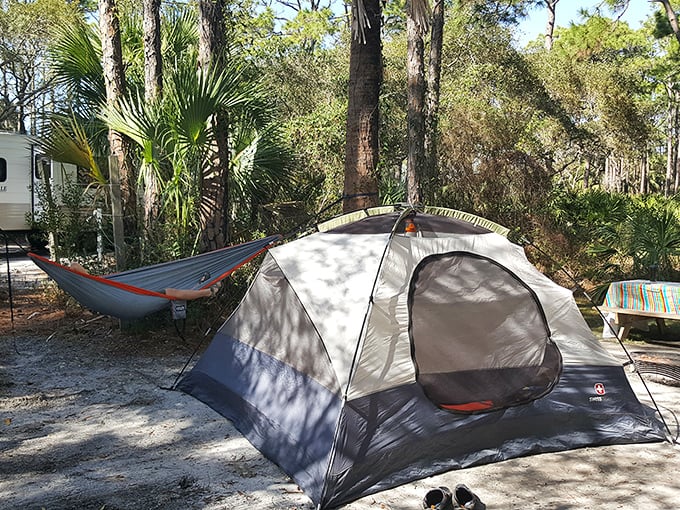 Camping as it should be—under whispering pines with a hammock for good measure. This site offers five-billion-star accommodations.
