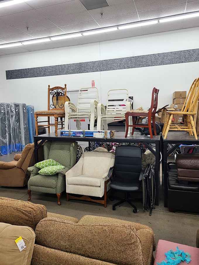 Take a seat and contemplate your choices—from vintage armchairs to practical office seating, the perfect perch is waiting to be discovered.