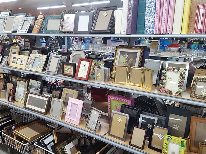 Picture frames galore! Because your memories deserve better than sitting forgotten in your phone's digital dungeon.