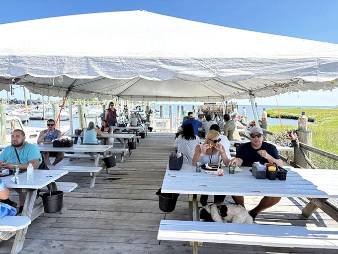 Dining under canvas with water views – where picnic tables, cold drinks, and the day's catch create the perfect summer memory.