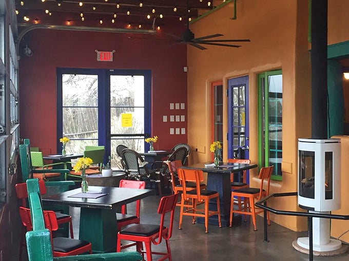 Every chair tells a different color story, yet somehow they're all speaking the same language of "sit down and stay awhile."