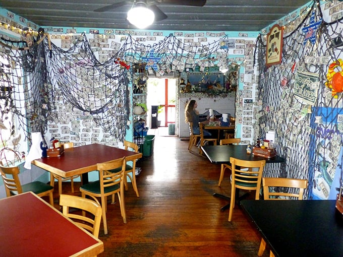 Fishing nets and dollar bills create a wallpaper of memories—each one representing someone who found their way to this hidden gem.