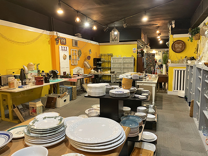 The dinnerware section could outfit a hundred mismatched tea parties, with plates and bowls stacked like ceramic layer cakes.