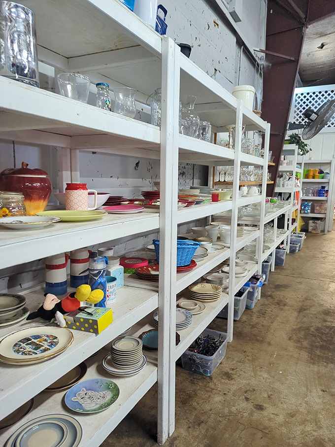 Dishware heaven – where your grandmother's china pattern sits beside the plates from that restaurant chain that went out of business in 1997.
