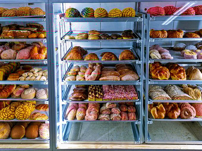 Pastry paradise awaits behind glass, where calories don't count and decisions become deliciously difficult. Choose wisely, or just choose everything.