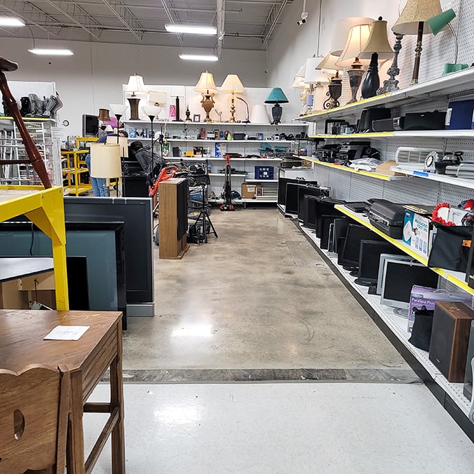 The electronics graveyard, where vintage lamps illuminate shelves of tech that once cost a month's salary. Someone's abandoned bread maker is about to become your sourdough salvation. 