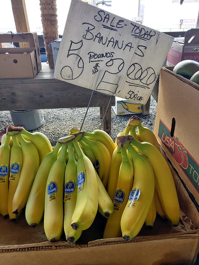 "Five pounds for two dollars!" Fresh produce mingles with vintage goods, proving Jake's isn't just about the past—it feeds the present too.