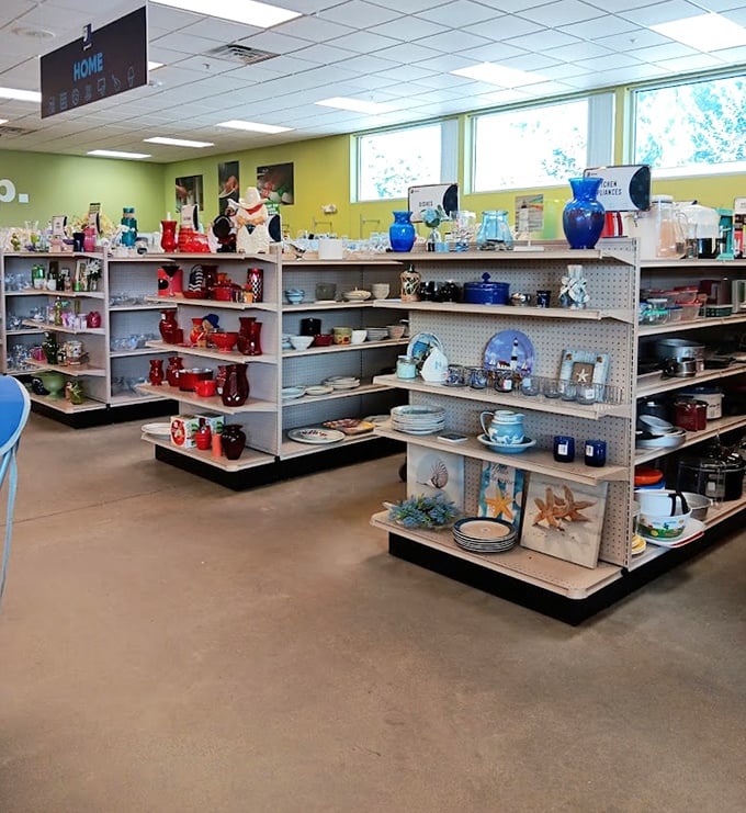 The housewares section gleams with potential, from cobalt blue vases to beach-themed plates—someone's discards becoming another's treasured finds.
