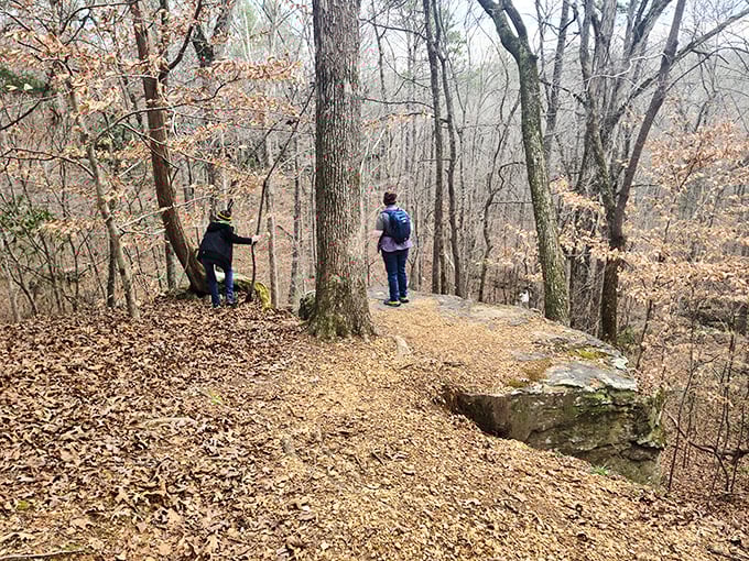 Two hikers discover that sometimes the best conversations happen without words, just footsteps and rustling leaves on ancient stone overlooks.