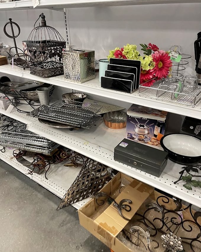 Home décor treasures that spark both nostalgia and possibility – from birdcages to baskets, each with stories to tell.