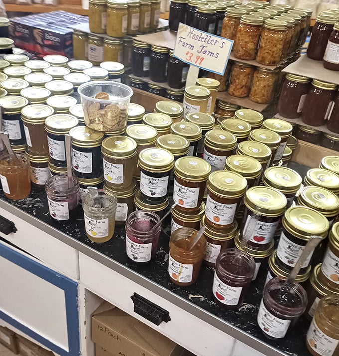 Jars of jewel-toned jams and preserves—each one a time capsule of summer sunshine waiting to brighten winter toast.