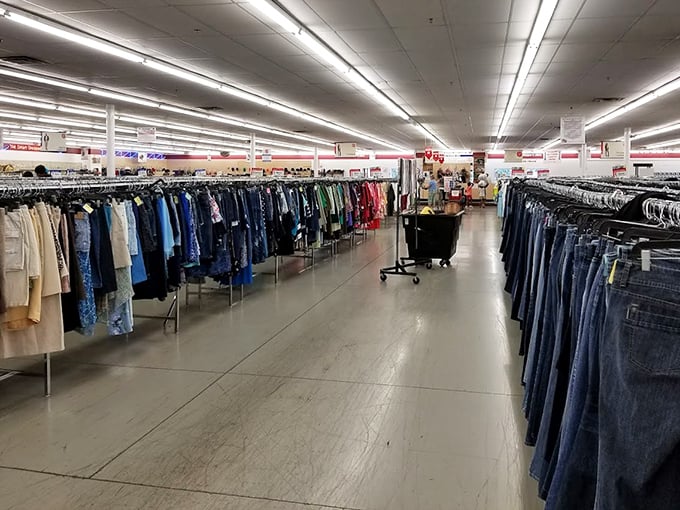 Denim for days! The jean section offers more varieties than a fancy coffee shop—straight leg, boot cut, and styles that haven't been cool since 1987.