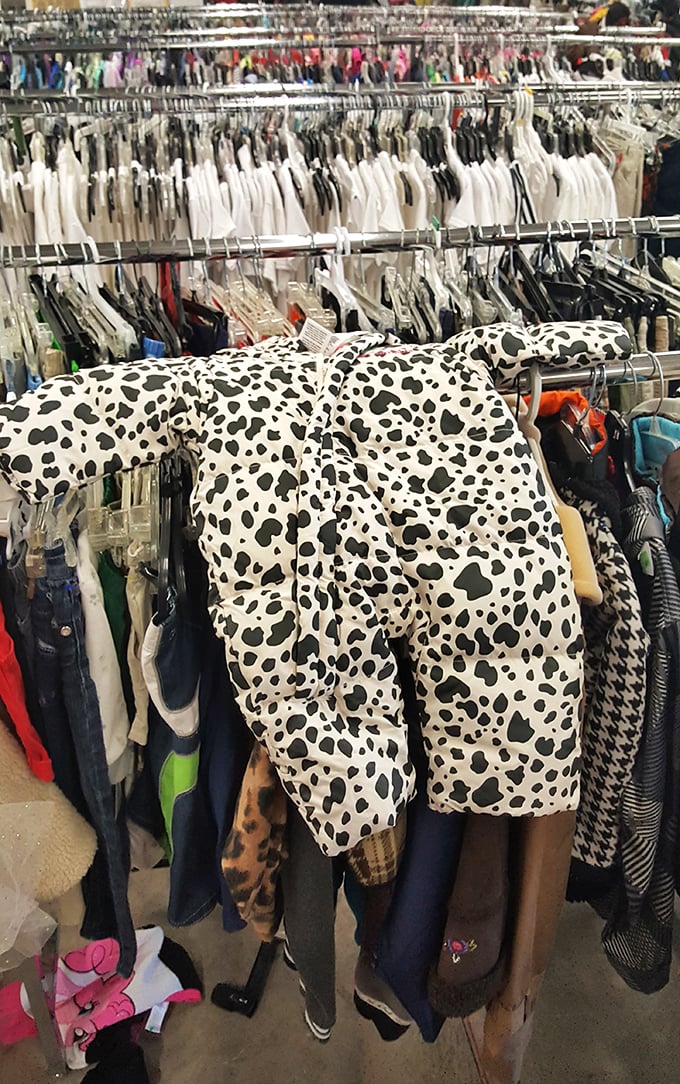 The cow-print onesie alone is worth the trip. Kids' clothes at these prices make growth spurts financially painless for once.