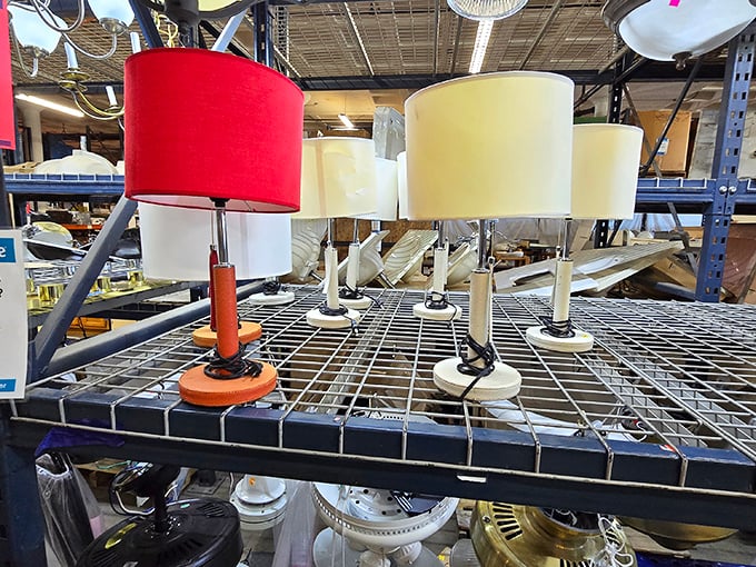 These lamps aren't just lighting fixtures; they're potential conversation pieces waiting to illuminate your next dinner party or reading nook.