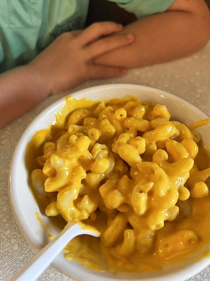Mac and cheese so gloriously yellow it could guide ships to shore, with each spoonful promising the comfort of childhood in adult portions.