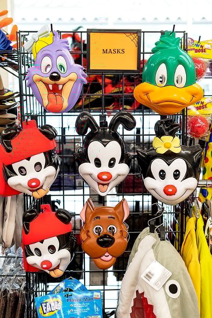 Cartoon character masks galore—where else can you become Yakko, Wakko, AND Dot for less than the price of a movie ticket?