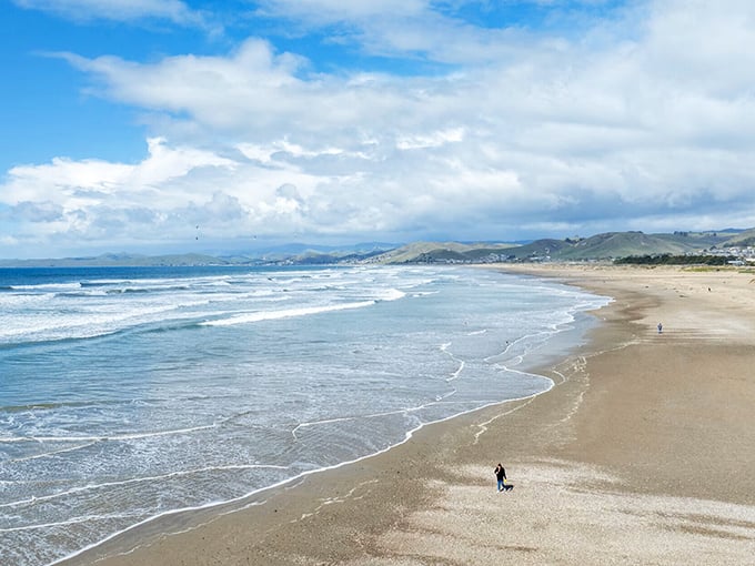 Gentle waves kiss the shoreline beneath Morro Rock, creating the perfect soundtrack for contemplating life's big questions—or just your lunch options.