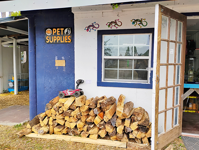 Not just pet supplies—it's a pet paradise waiting to happen. That firewood stack says "we're practical folks who love animals and staying warm."