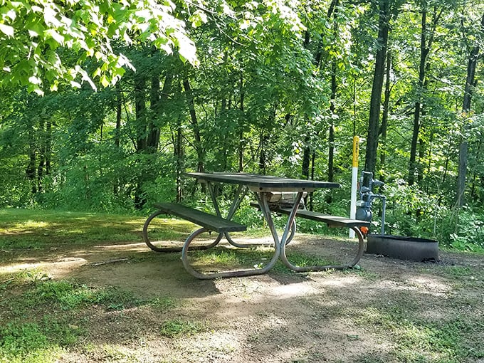 The original outdoor dining experience. This picnic table has hosted more memorable meals than most five-star restaurants.