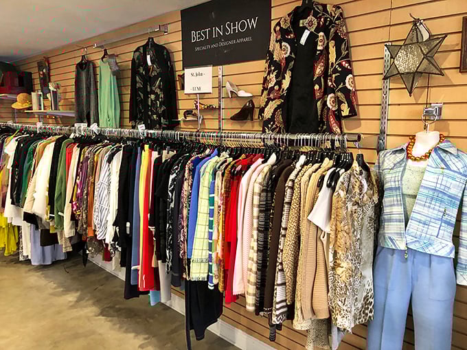 Color-coordinated clothing racks make browsing efficient and satisfying, like flipping through a well-organized fashion magazine you can actually afford.