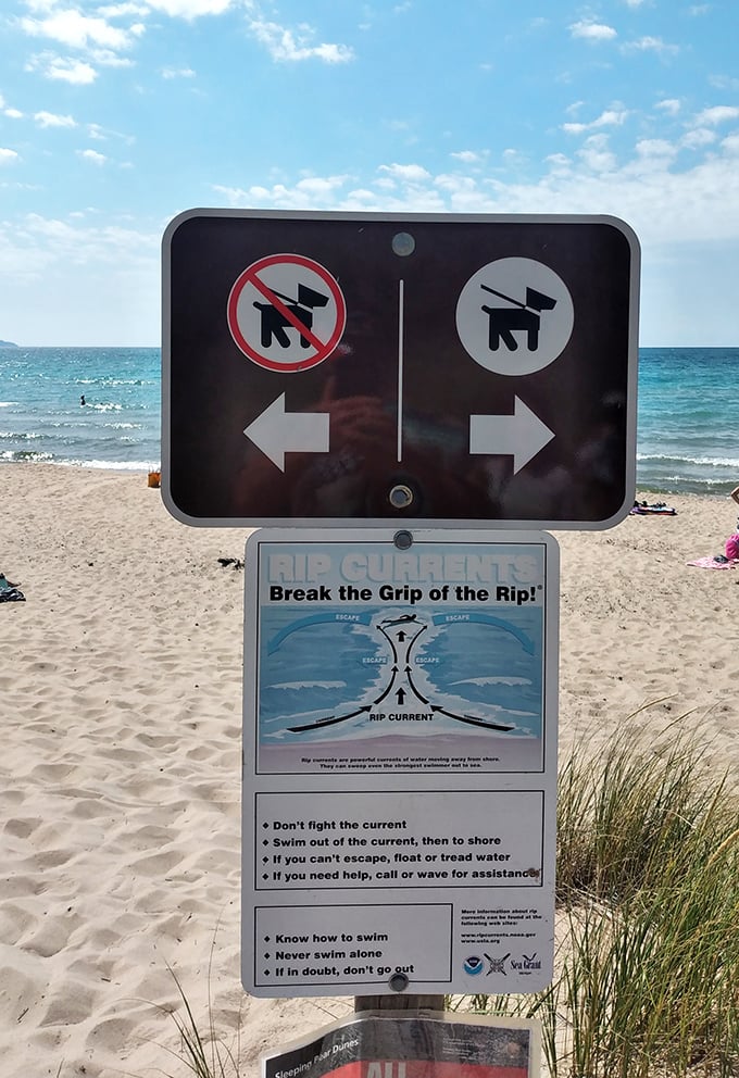 "Break the Grip of the Rip!" – because even paradise comes with fine print and safety instructions.