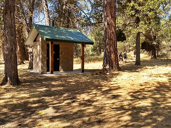 The humble throne room of the wilderness—where even the most basic facilities feel luxurious after hours of communing with nature.