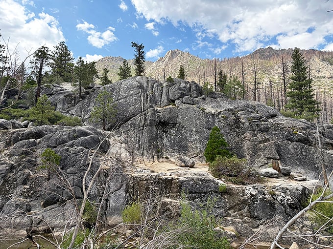 The perfect spot to contemplate life's big questions or simply enjoy a sandwich with a million-dollar view. Nature's meditation cushion.