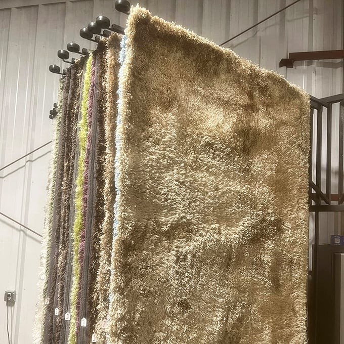 Shag carpets hanging like wooly mammoths from a more luxurious era. Your bare feet are already imagining the plush reunion.