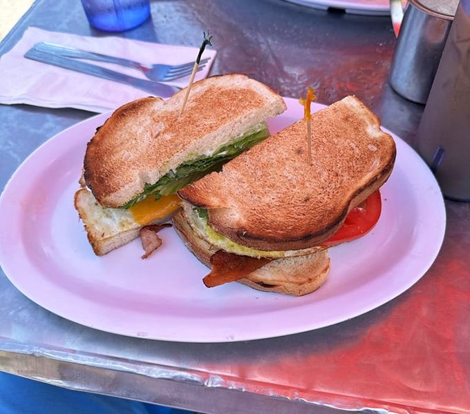 This sandwich isn't just lunch—it's architectural perfection between two slices of golden toast.