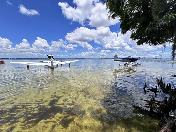 Seaplanes resting on crystal waters – when regular boats just aren't dramatic enough for your Florida lake experience.