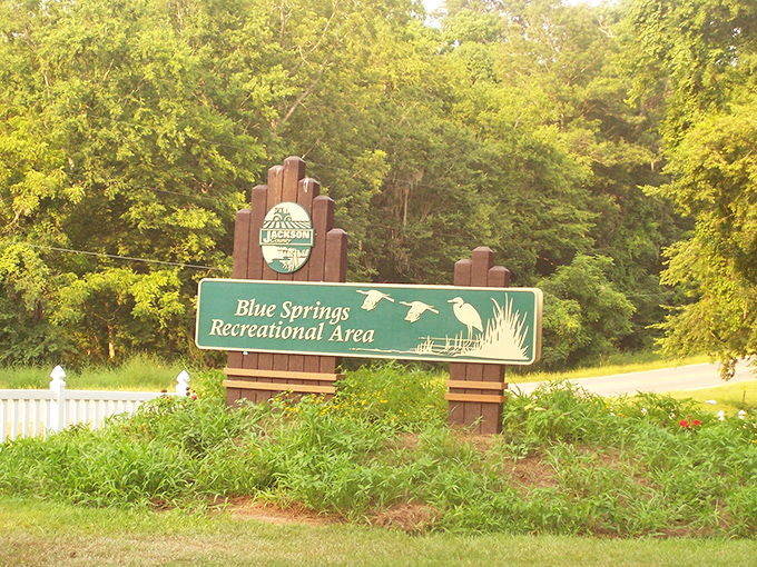 The gateway to aquatic paradise – this unassuming sign marks the entrance to one of Florida's most spectacular natural treasures.