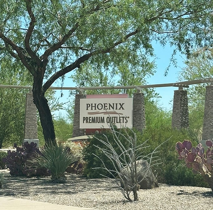 Desert landscaping so thoughtfully designed, you almost forget you're in a parking lot hunting for retail therapy opportunities.