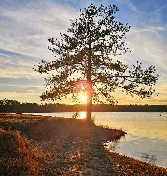 Sunsets at Paul B. Johnson don't just end the day—they put on a full theatrical production with light, water, and that lone pine tree stealing the show.