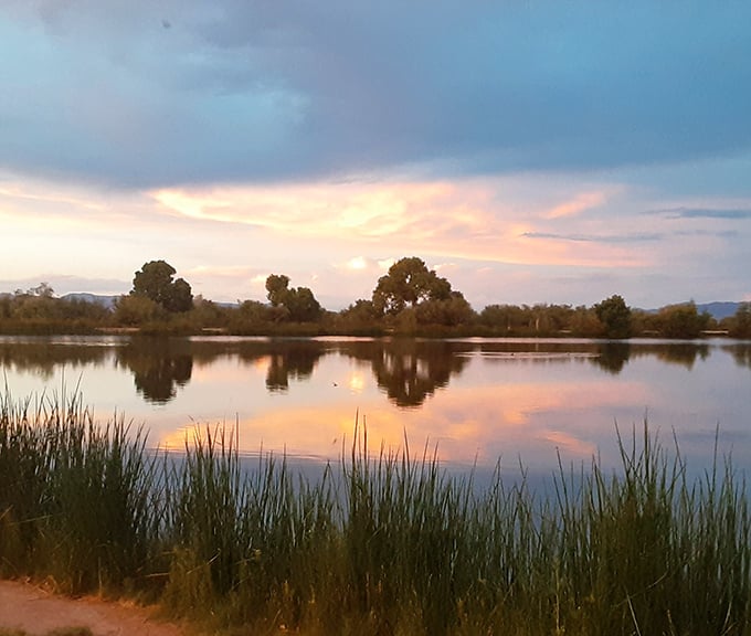 Sunset transforms the pond into liquid gold – a daily miracle that happens whether anyone's watching or not.