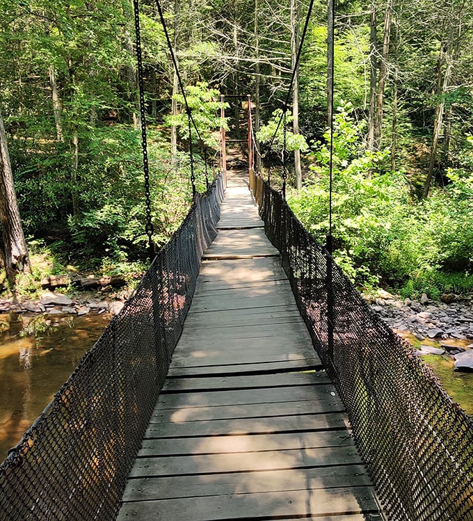 The suspension bridge dangles over rushing waters, offering equal parts thrill and tranquility. Indiana Jones would approve of this crossing.