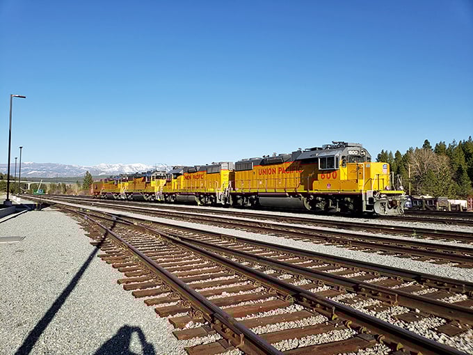 Union Pacific rolling through town – a daily reminder that Truckee's railroad roots run as deep as the Sierra snowpack in February.