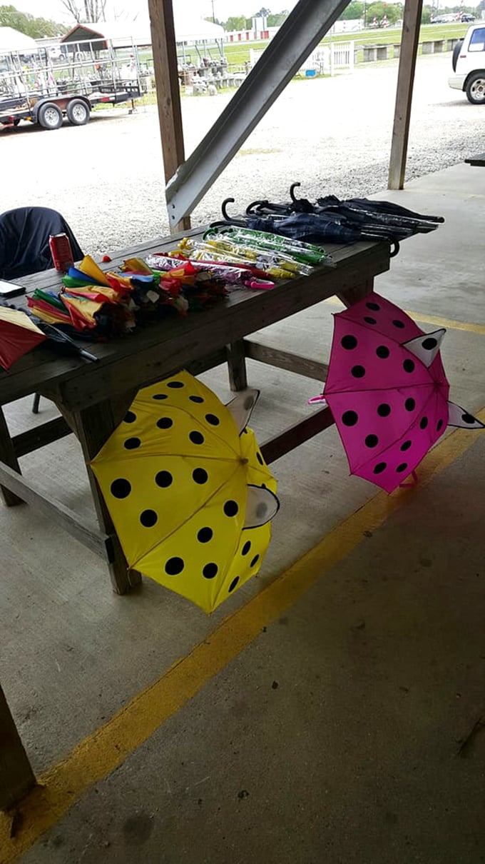Rainy day? No problem! These whimsical polka-dotted umbrellas add a splash of color to gray skies—practical magic for Louisiana's spontaneous showers.