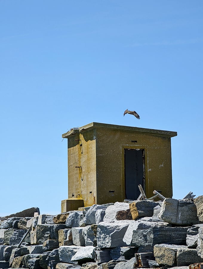 This unassuming yellow structure on the breakwater might not win beauty contests, but it's witnessed more dramatic sea stories than most bestselling novels.