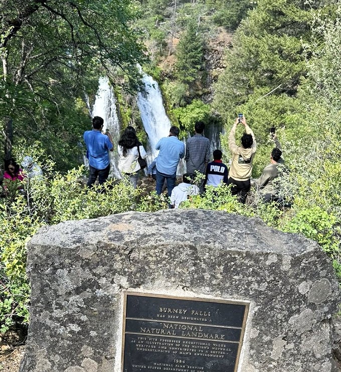 The universal reaction to first-time falls viewers: collective awe. Visitors gather at the overlook, smartphones raised in a modern salute to nature.