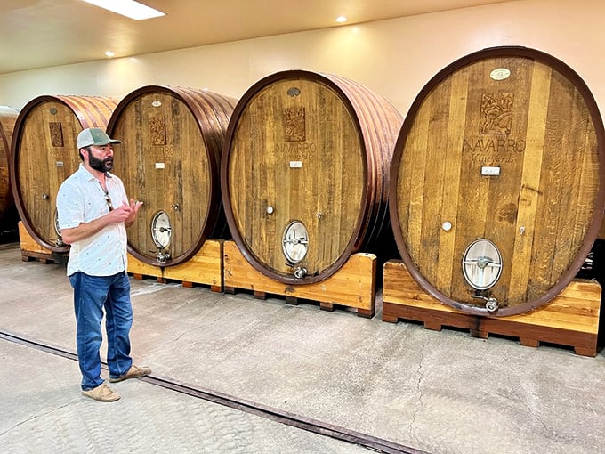 Massive oak barrels await their starring role – silent sentinels guarding liquid treasures that improve with every passing day.